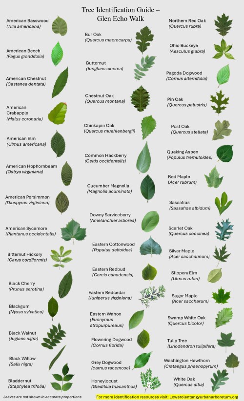 Lower Olentangy Urban Arboretum | Clintonville, Columbus, Ohio